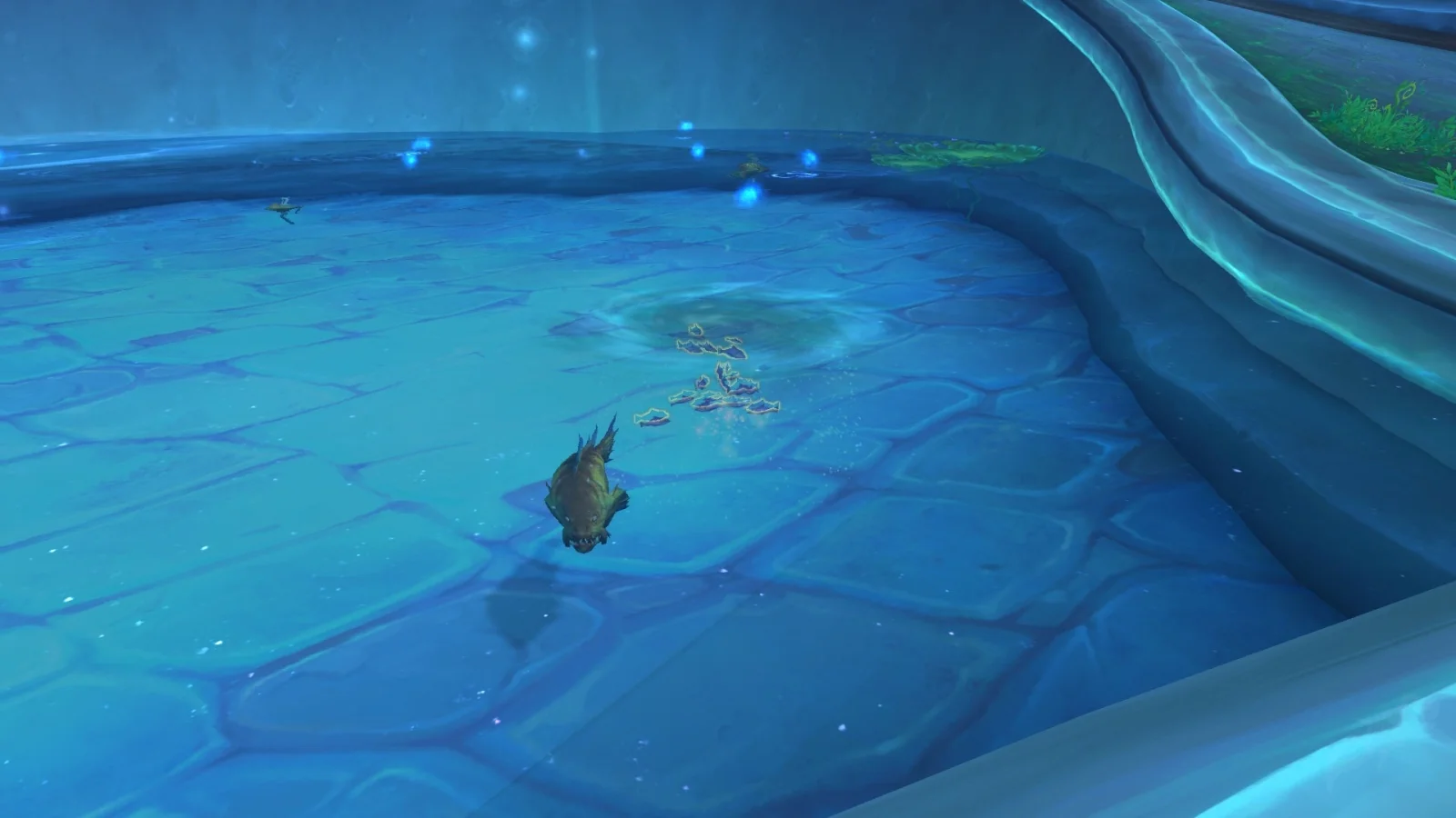 fish-swimming-blue-pool.webp